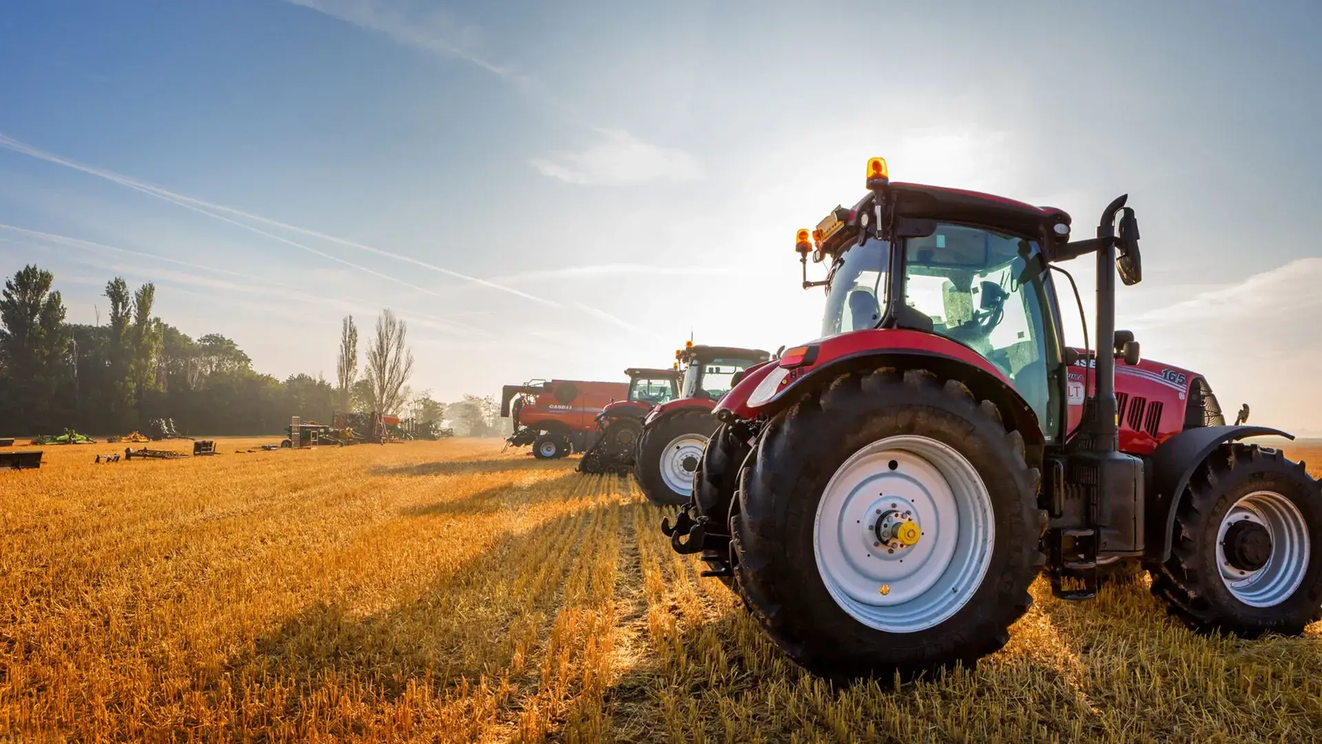 ATG - Leading online marketplaces and technology for curated auctions