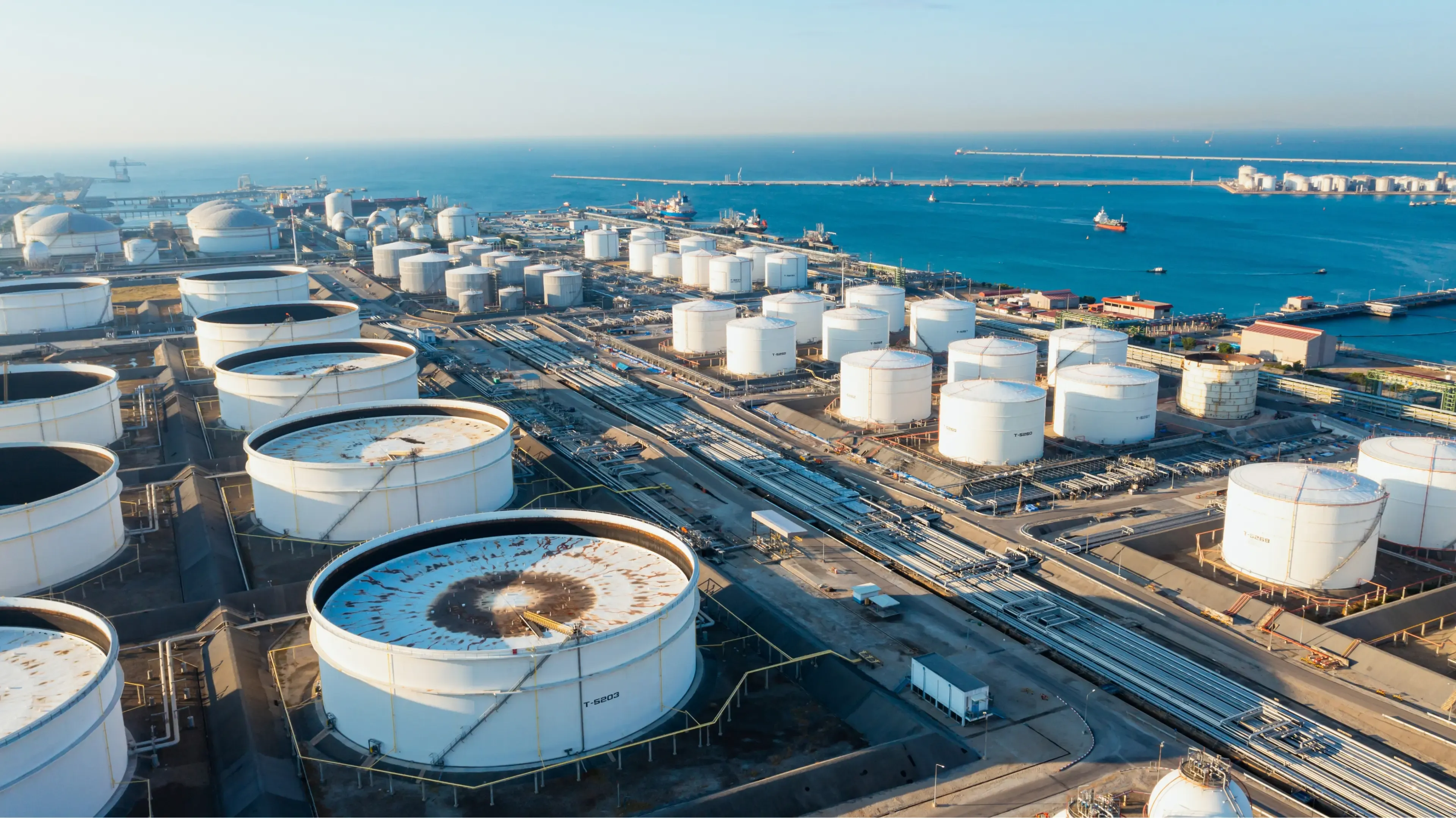 Chartering - Operations - Avenir LNG